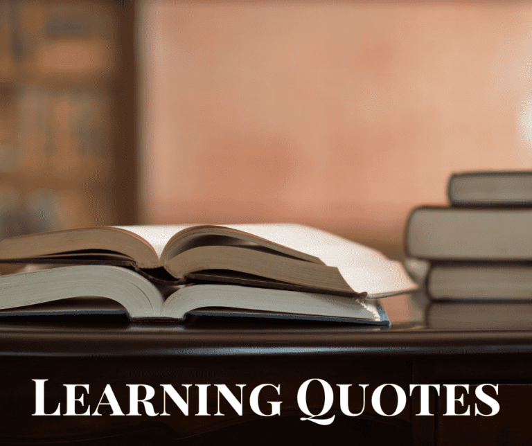 50 Best Learning Quotes to Inspire You - Jiyofullest