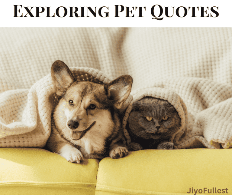 Pet Quotes: Animal Affection - Jiyofullest