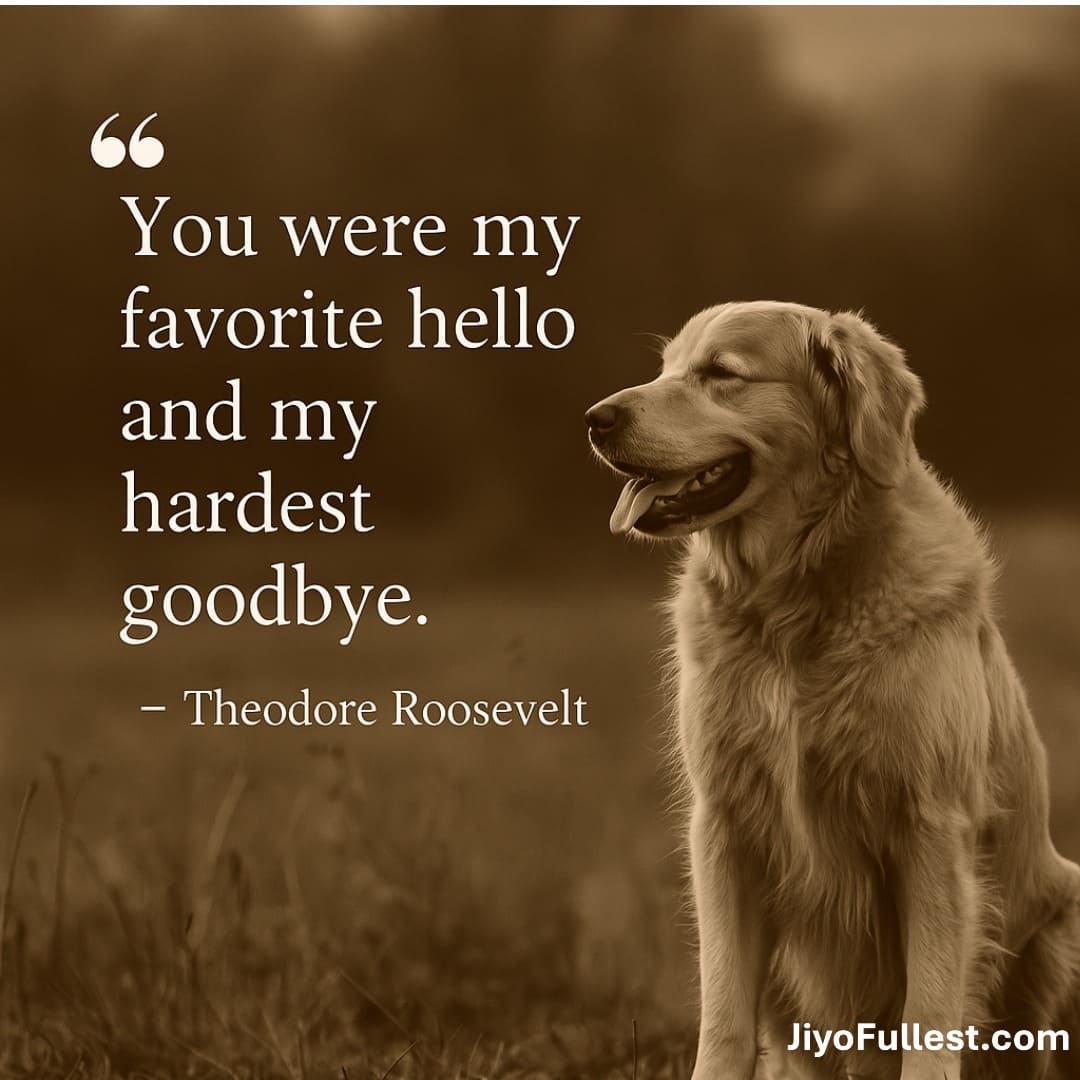 Pet Quotes: Animal Affection - Jiyofullest